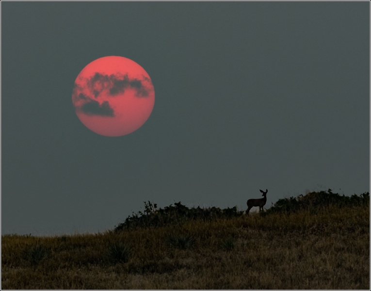 Billings Camera Club